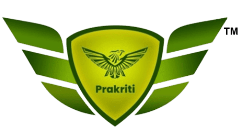 Best electric scooter in India | Prakriti Electric Scooty